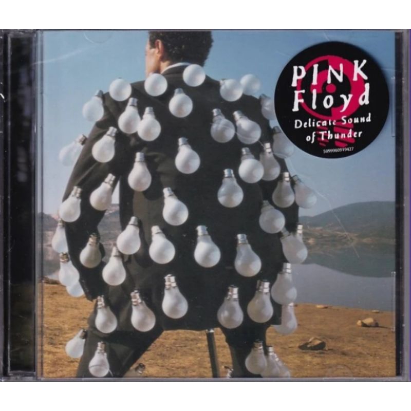 Cd PINK FLOYD - DELICATE SOUND OF THUNDER (2CD) Import | Shopee Philippines