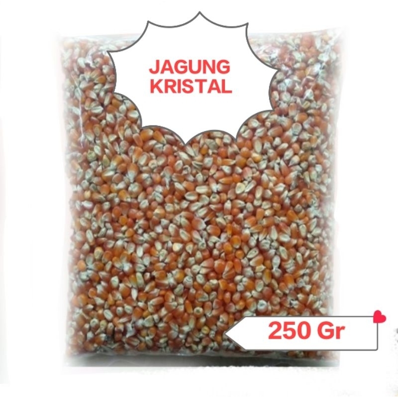 Crystal Corn Preci Corn Corn Bird Feed Pigeons Chicken Racing Repack ...