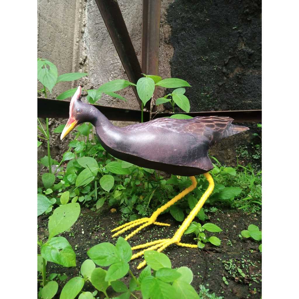 Statue Of Jontrot Chicken-Ayamandar Bontod /Gallicrex cinerea | Shopee ...