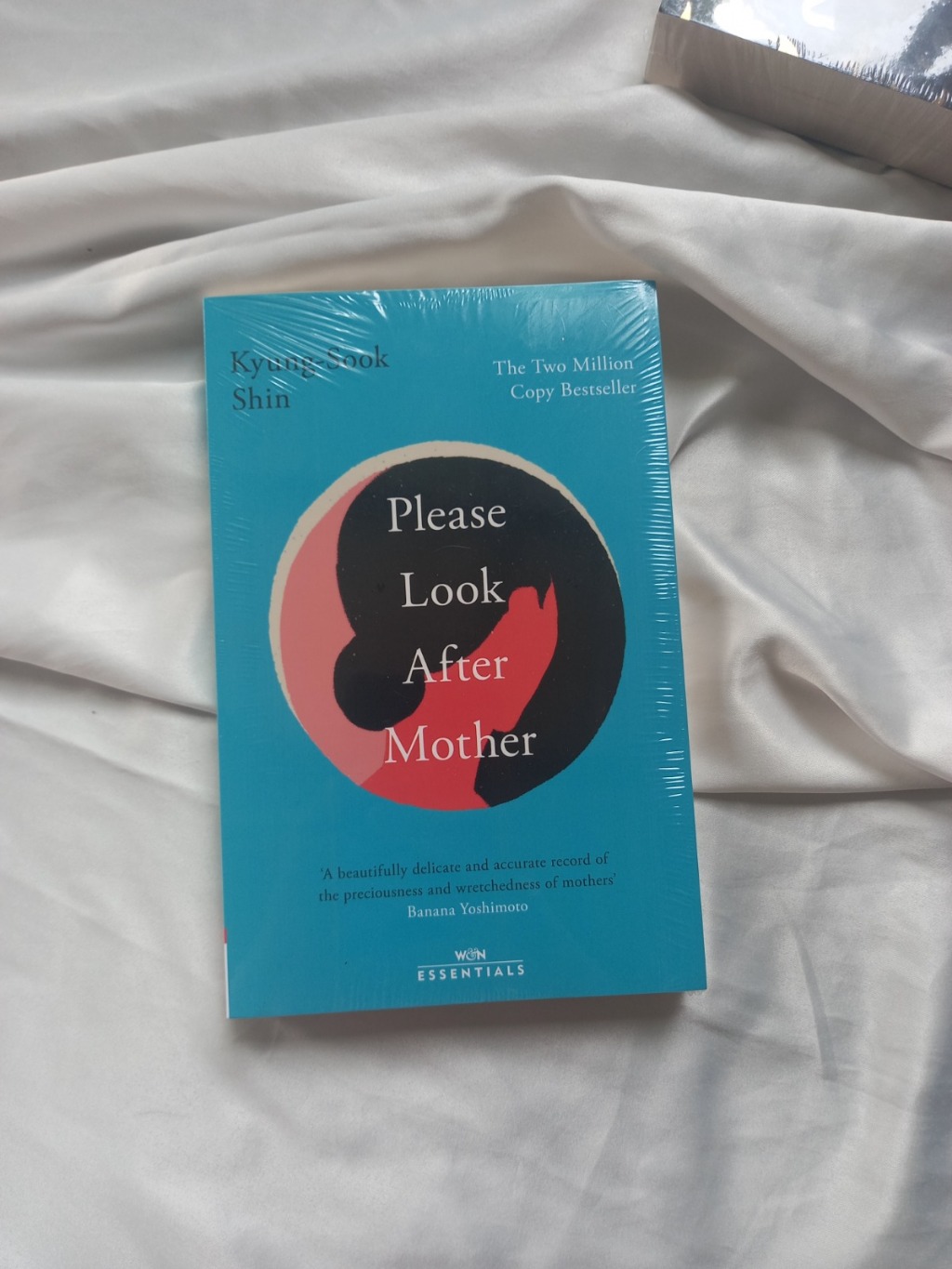 Please Look After Mother by Kyung-Sook Shin | Shopee Philippines