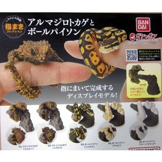 Shop ball python for Sale on Shopee Philippines