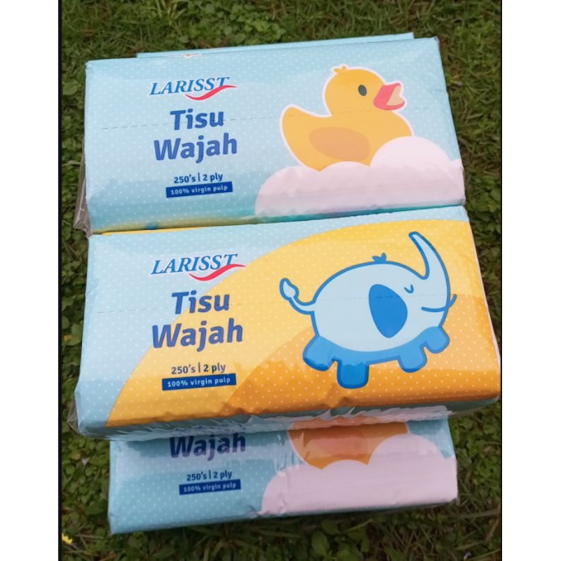 Larisst Facial Tissue 250's | Shopee Philippines