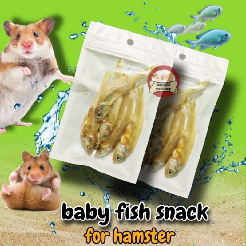 Baby fish hamster Snack - high in protein and rich in calcium and ...