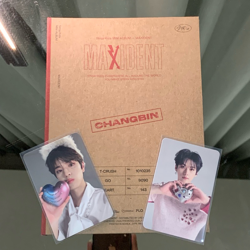 Stray kids maxident case version changbin photobook | Shopee Philippines
