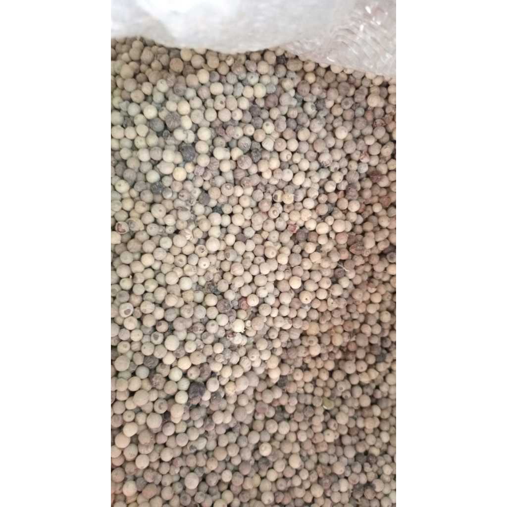 Just Original Pepper 1 kg Pack | Shopee Philippines