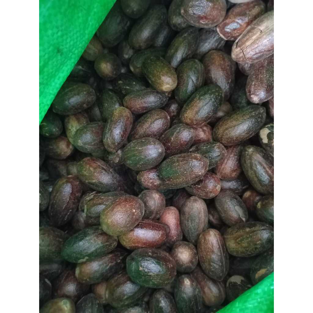 Nutmeg Oval Skin Pack Of 1 kg | Shopee Philippines