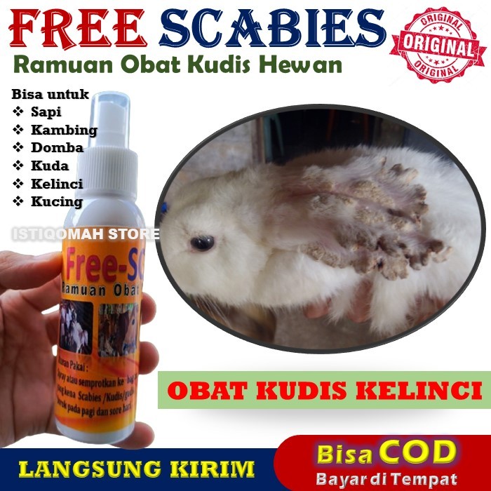 Spray Medicine For SCABIES Disease Of SCABIES Mistresses In Rabbit ...