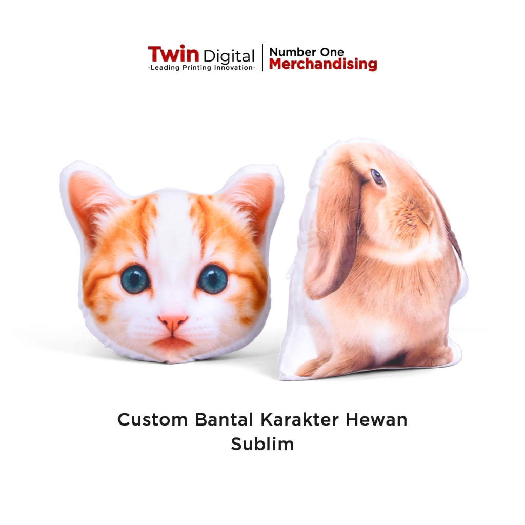 Twindigital Custom Print Premium Character Pillows - 40 X 40 - Custom ...