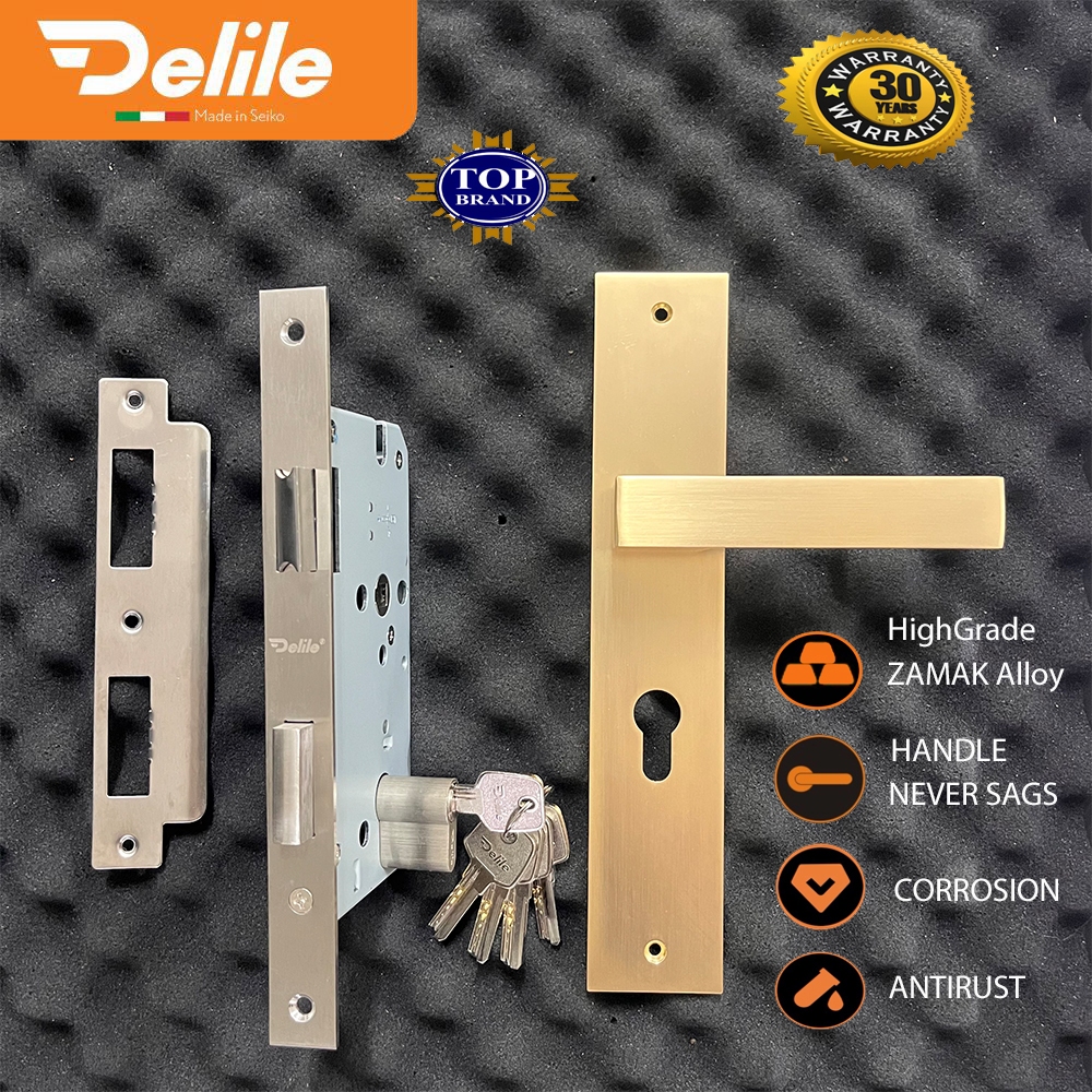 Italy DELILE ZM664/Z25003 MSB/Door Handle Set/Door Handle Set/ Full Set ...