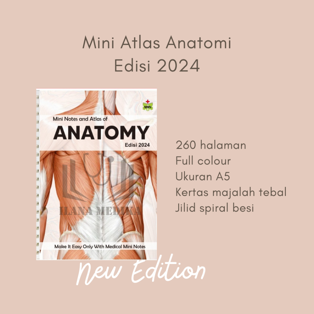 Medical Mini Notes Mini atlas of Anatomy/MMN atlas Anatomy/MMN Anatomy ...