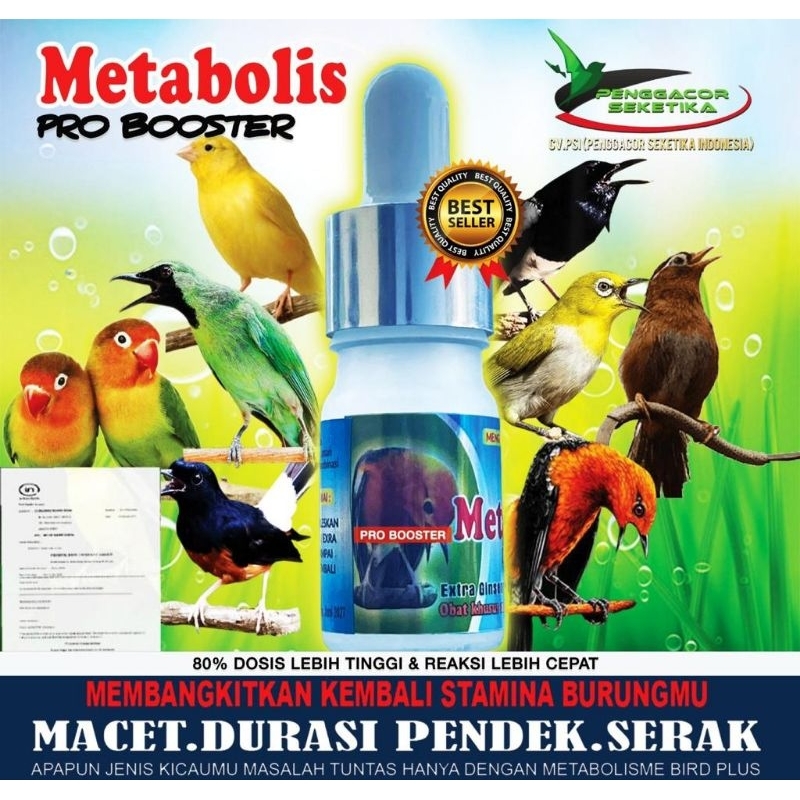 Metabolis PRO BOOSTER 3-MILI Glass Bottle | Shopee Philippines