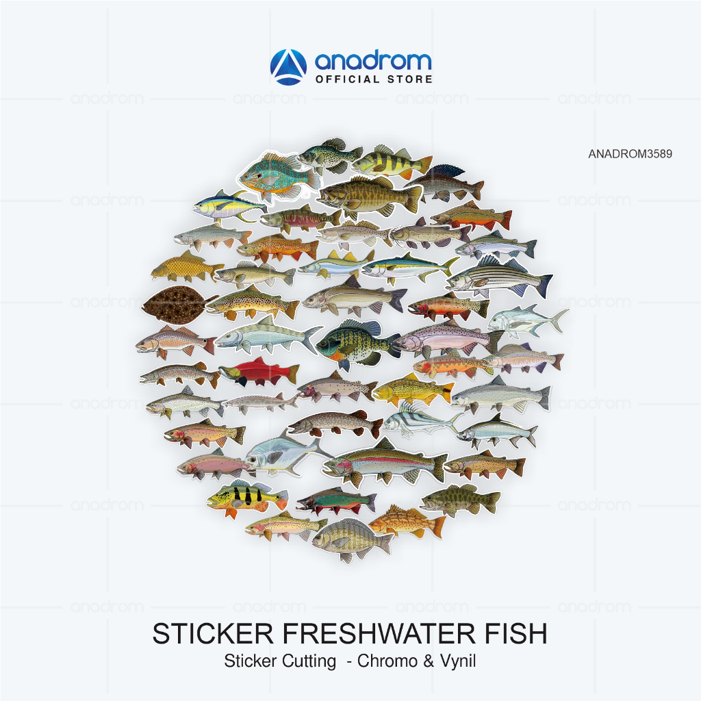 Freshwater Fish Sticker | Aesthetic Fish Sticker | Anadrom 3589 ...