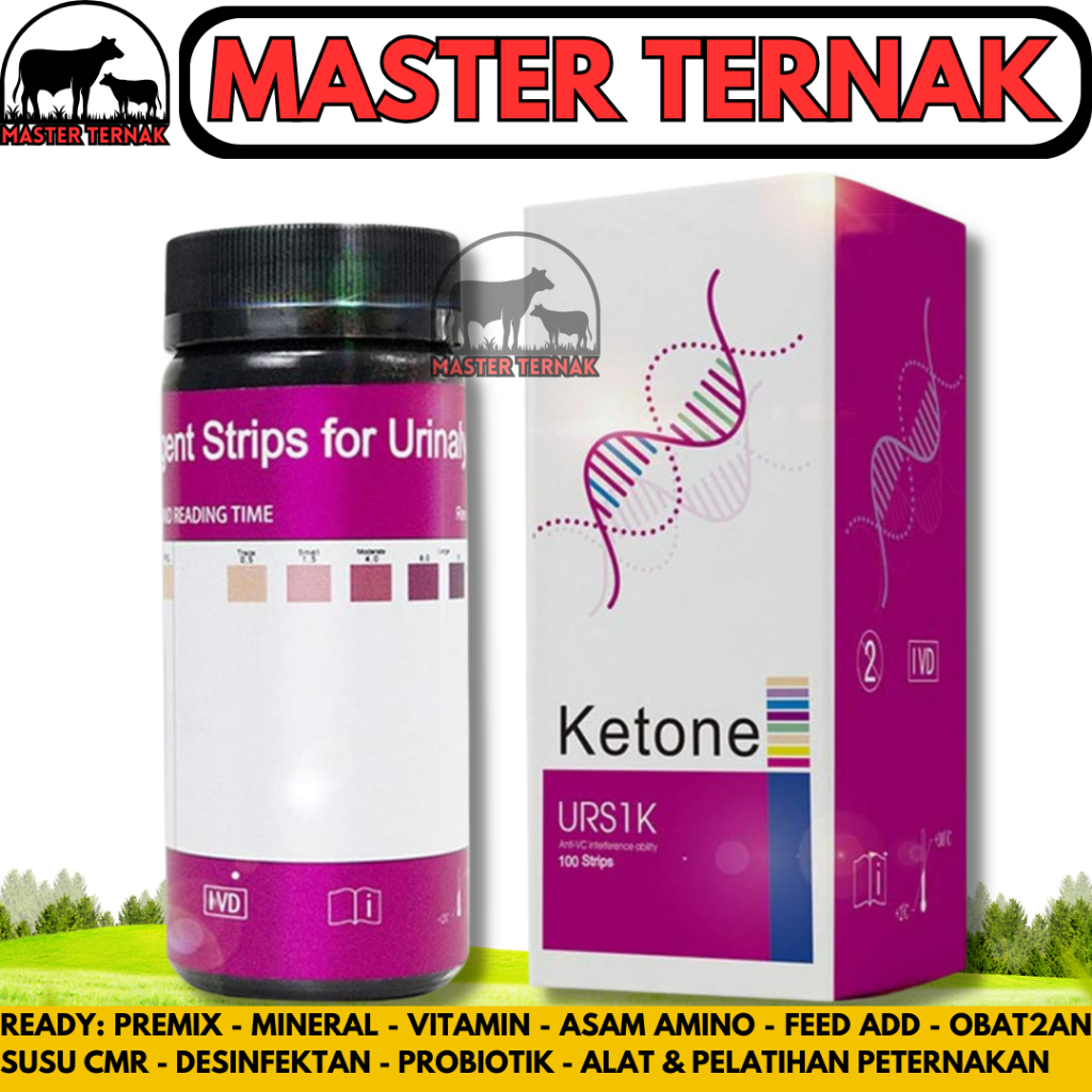 Urine Test KETONE CONTENTS 100 STRIPS - Human Keto URINE Keton Test Kit ...