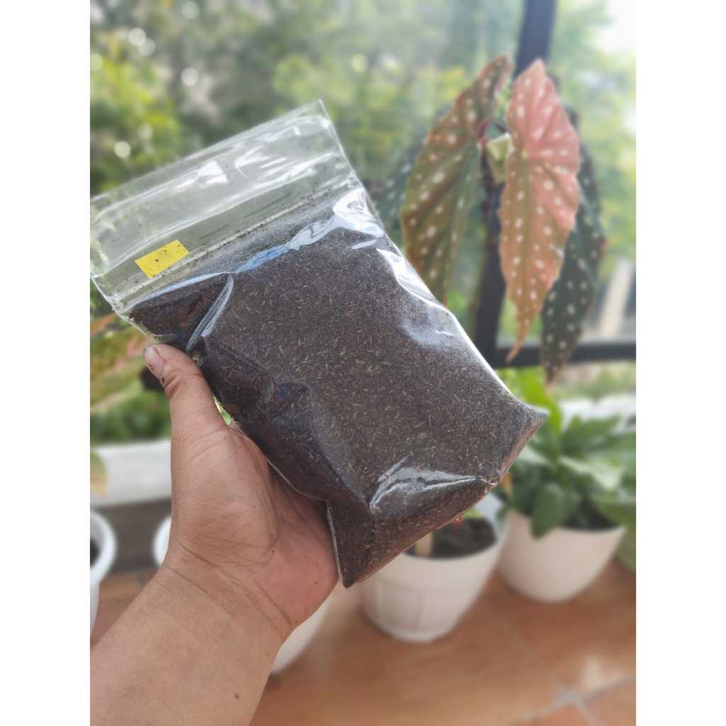250 GRAM BUHUR, BUKHUR, BAKHOOR SULTAN OUD | Shopee Philippines