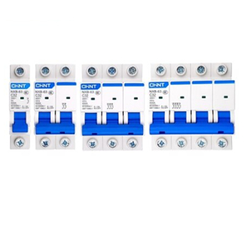 Chint MCB 2P 6A 6 kA / CHINT NXB1-63/2P | Shopee Philippines