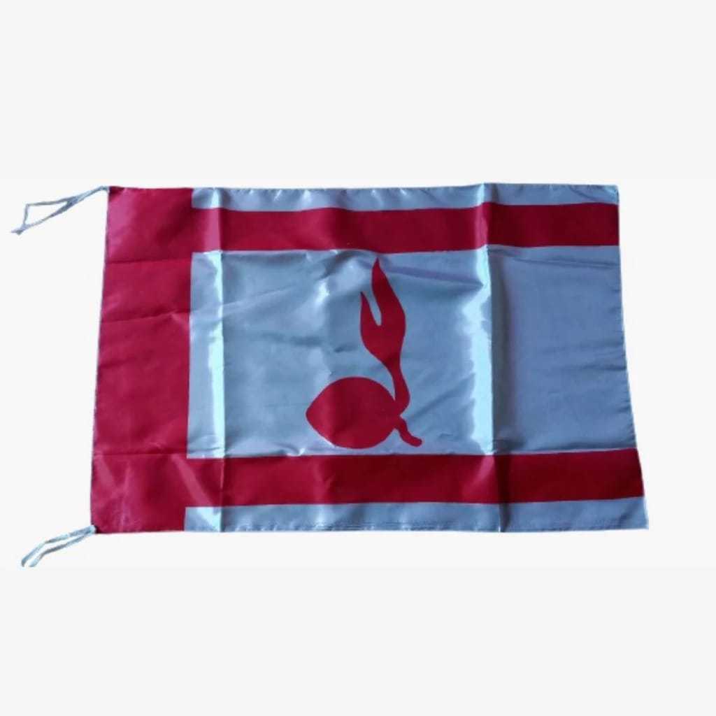 Large Scout Shoot Flag -+90x120cm grain | Shopee Philippines