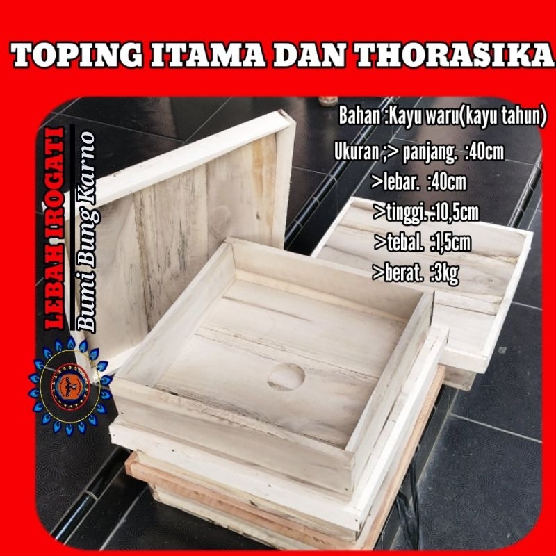 Toping ITAMA /THORASHICA, KAYU WARU | Shopee Philippines