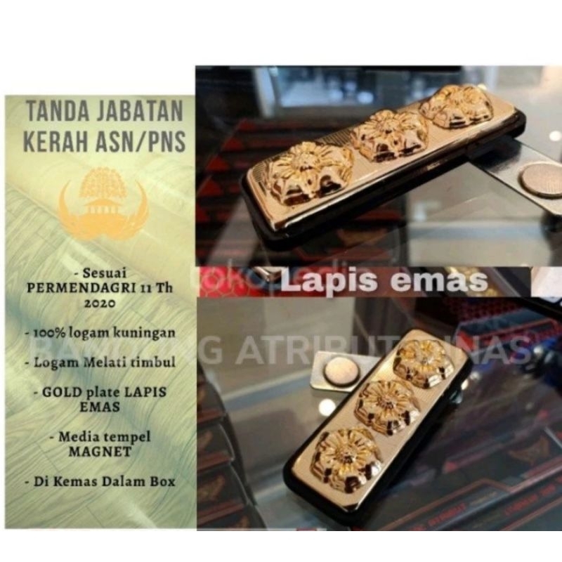 STANDARDS OF COLLAR ASN 4B LIST BLACK EXCLUSIVE ORIGINAL 100% BAC ...