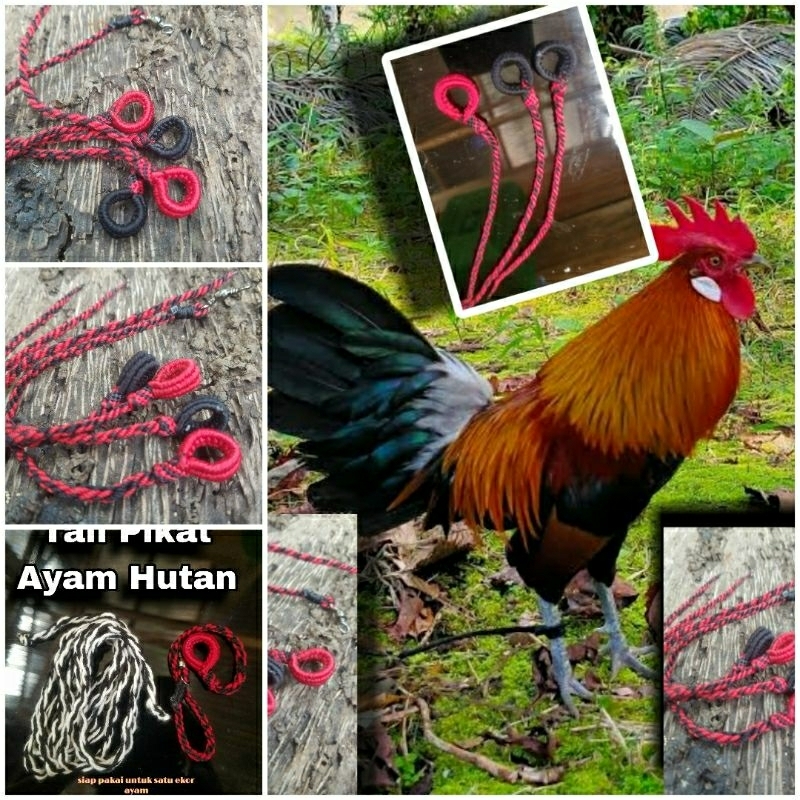 Chicken Leg Rope/Jungle Chicken Leg Rope/Chicken Rope | Shopee Philippines