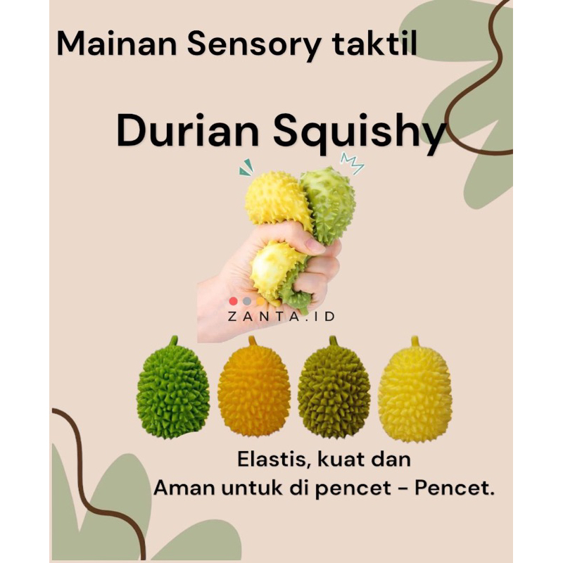Squishy Fruit Durian Tactile and Proprioceptive Sensory Play ...