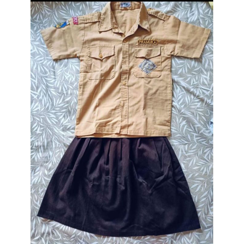 Personal Collection of Elementary School Scout Uniforms for Grade 4 ...
