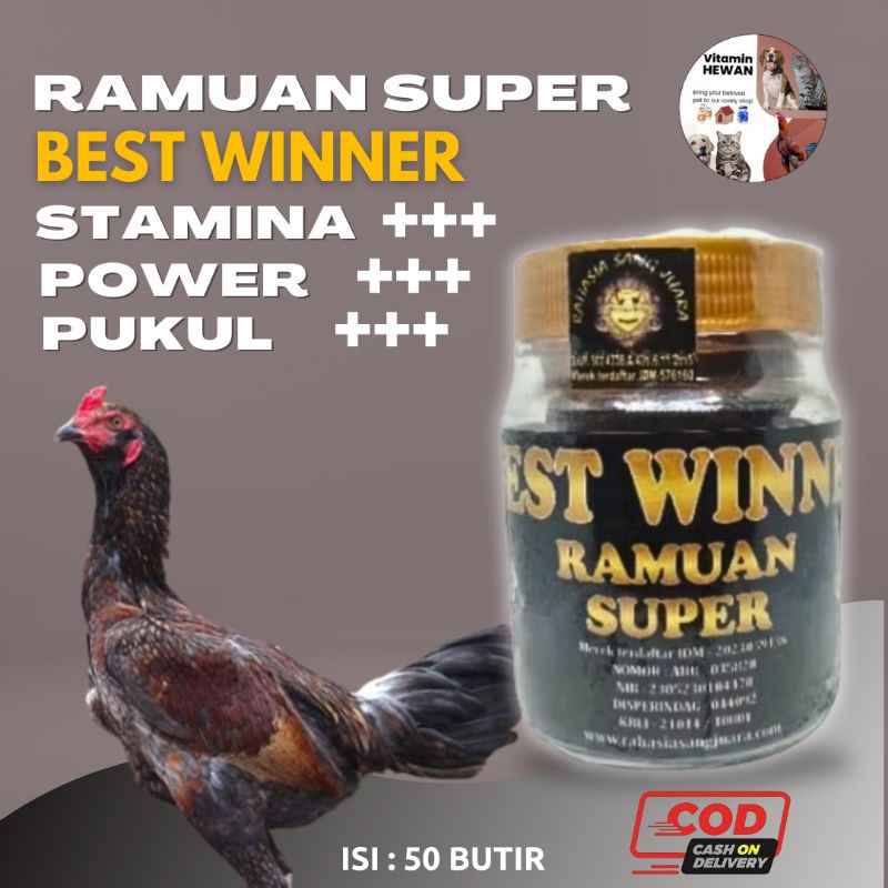 Best WINNER SUPER Chicken Potion Fighting Chicken Ready 50 Grains - The ...