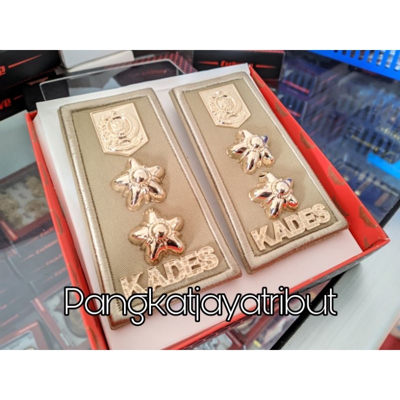 Rank PDH KADES KHAKI FABRIC LATEST KEMENDAGRI LOGO | Shopee Philippines