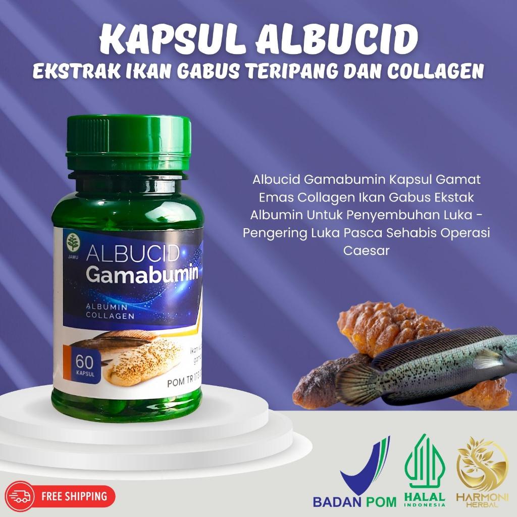 Gamabumin Albucid Collagen Capsules Extract Curse Cork Fish And Gold ...