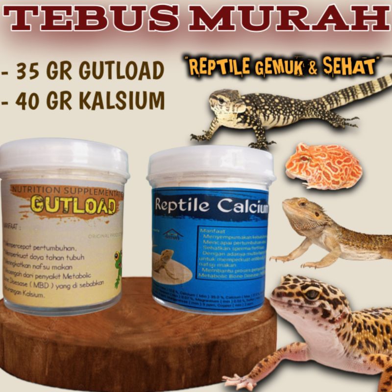 Package of 35g gutload and 40g calcium vitamin gecko fattening ...