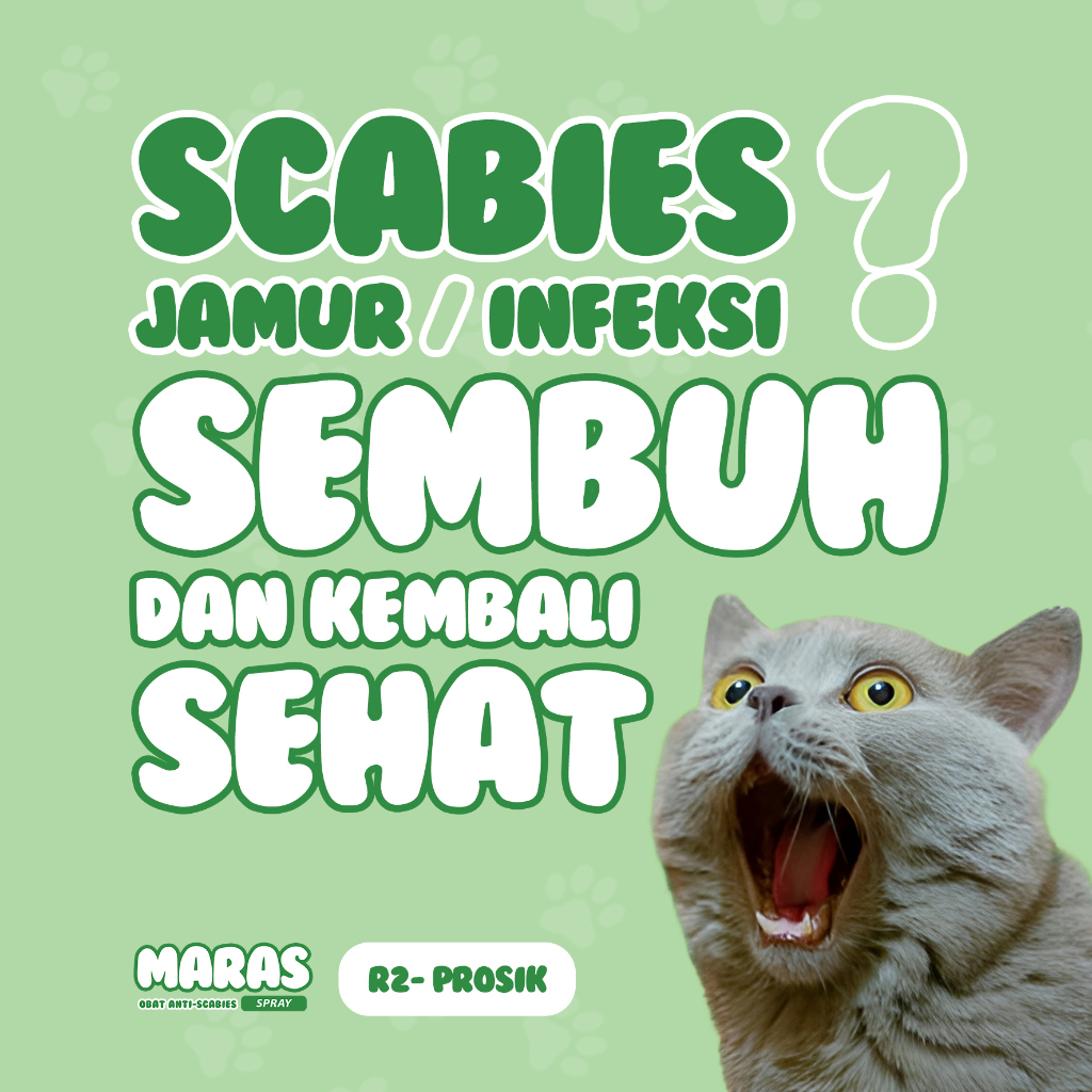 Cat Scabies Medicine - Demodex Fungus Skin Medicine - Maras Spray ...
