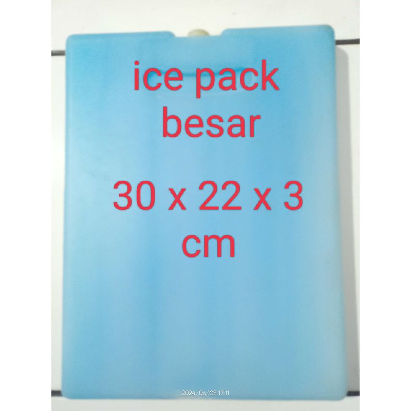 Big Ice pack Size 30x22 x 3 cm | Shopee Philippines