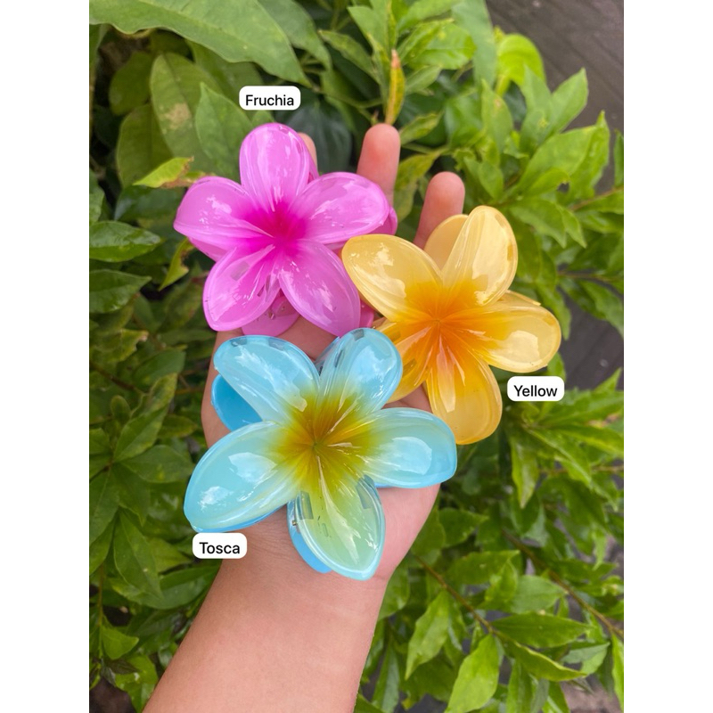 Japanese jeday clips, frangipani bali, viral | Shopee Philippines