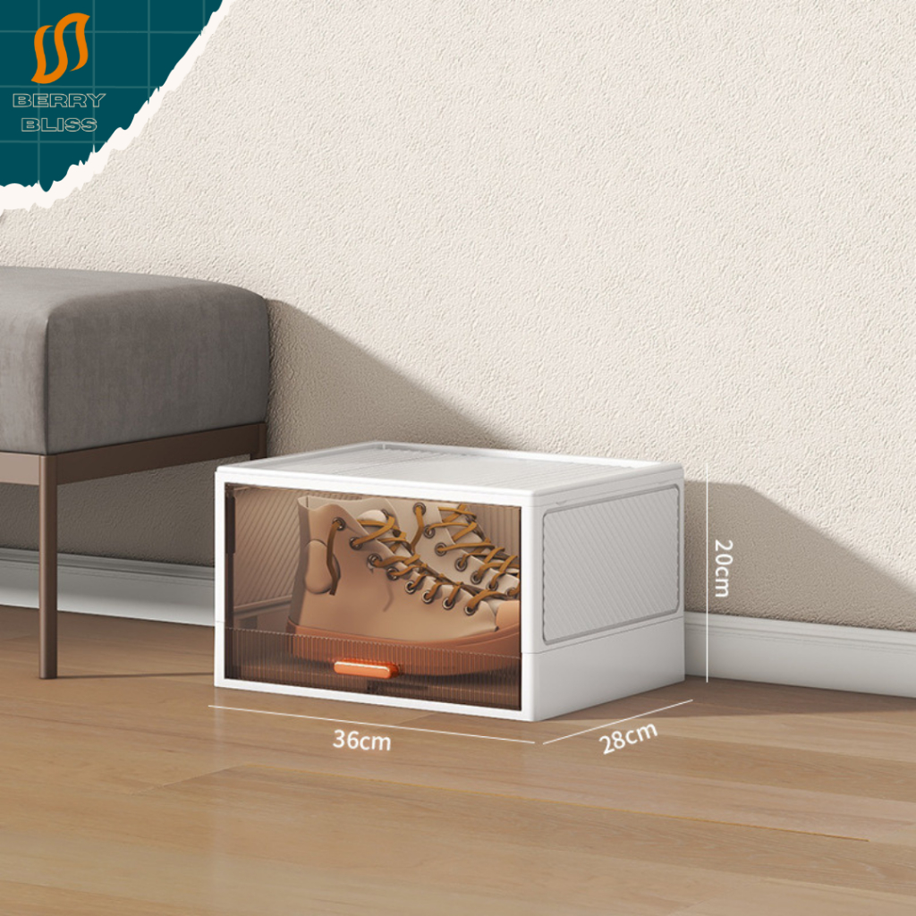 Berrybliss - Closed Shoe Rack Shoe Box Minimalist Shoe Cabinet ...