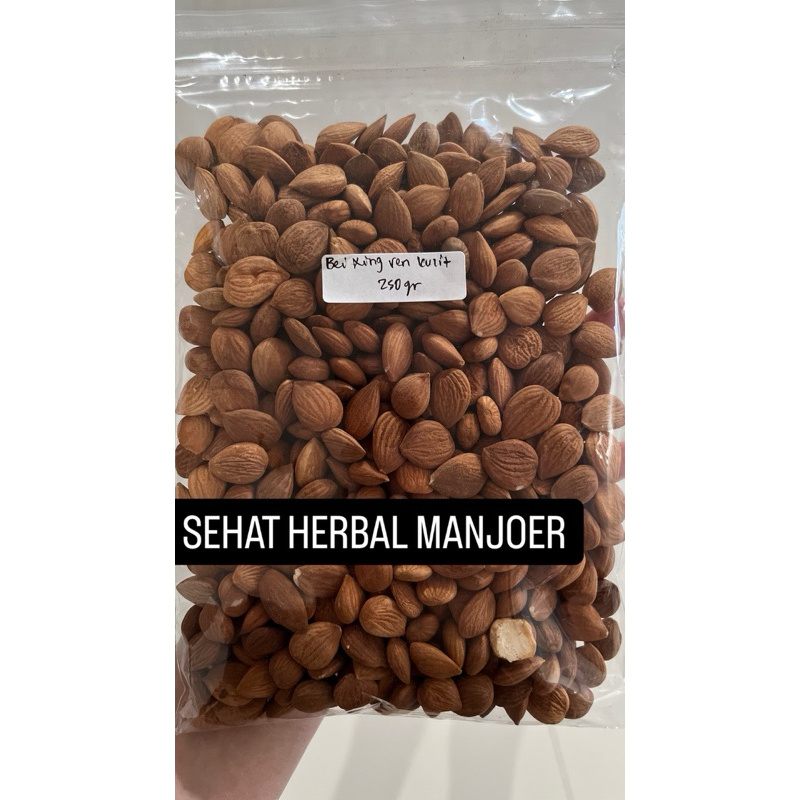 Bai Xing Ren / Bei Xing Ren / Apricot Seed Bitter Apricot Kernal Fresh ...