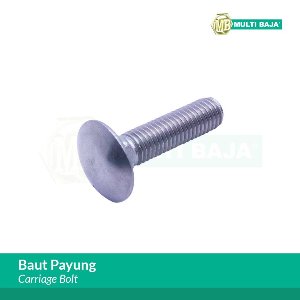 Sus 304 M8 x 100 Umbrella Bolt (Carriage Bolt) | Shopee Philippines