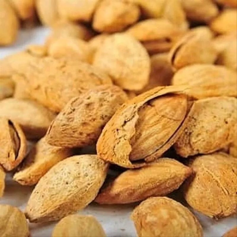 Roasted Shell Almond Nuts 1 Kg Crispy Savoury Milk Flavor | Shopee ...