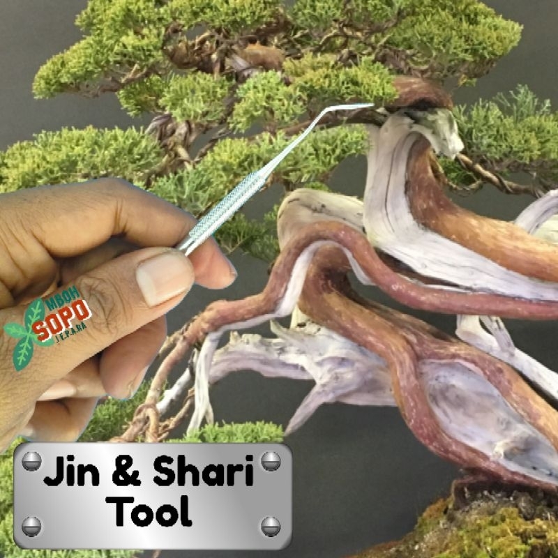 Bonsai Tools, Shari Tools and Jin Bonsai, Stenlis Material | Shopee ...