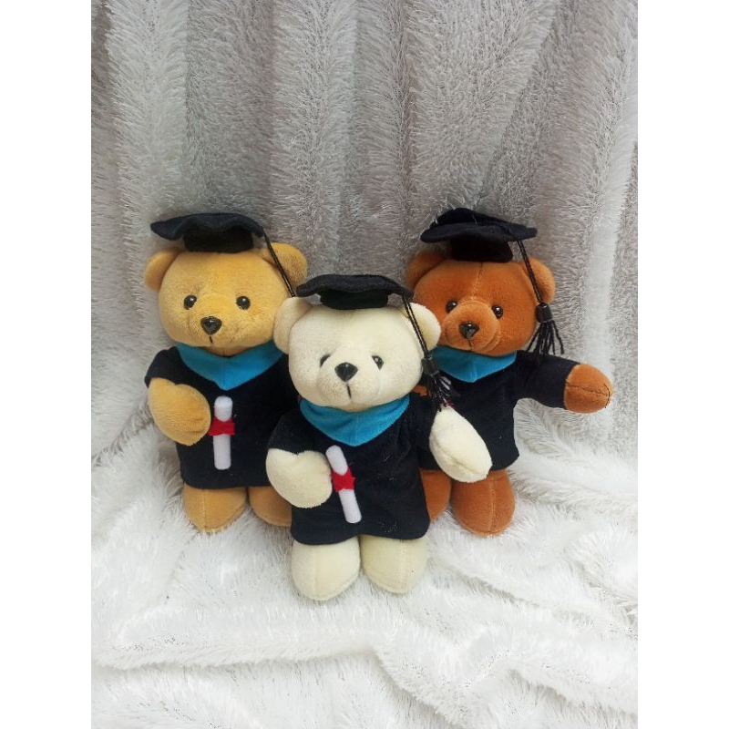 Graduation doll 27 cm high | Shopee Philippines