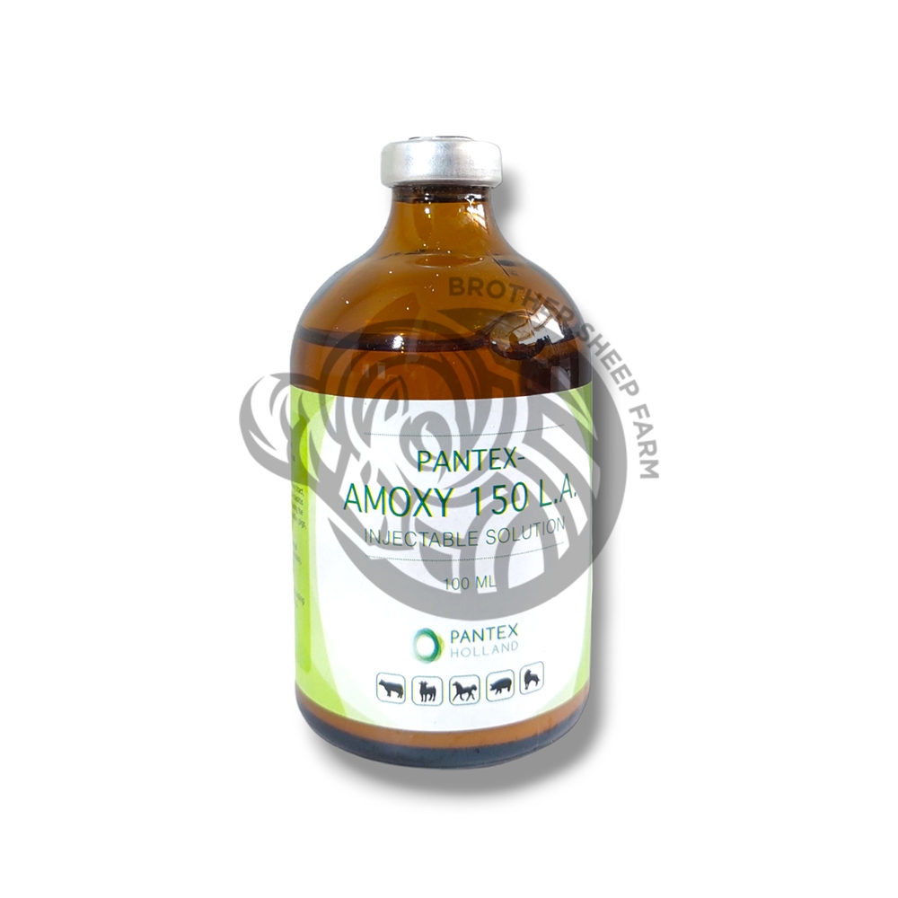 Amoxy 150 LA Amoxyciline Antibiotics Respiratory Infections Digestive ...