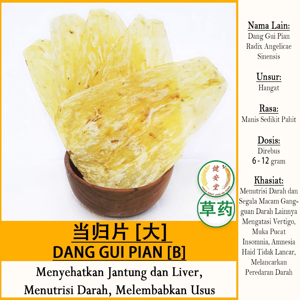 DANG GUI PIAN Besar [ - Angelicae Sinensis Radix] Herbal TCM PER 100 ...