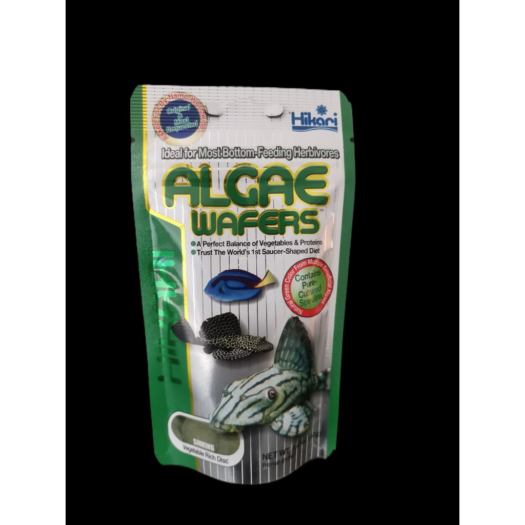 Pleco HIKARI ALGAE WAFERS Ornamental Fish Pellet Feed 40 Grams | Shopee ...