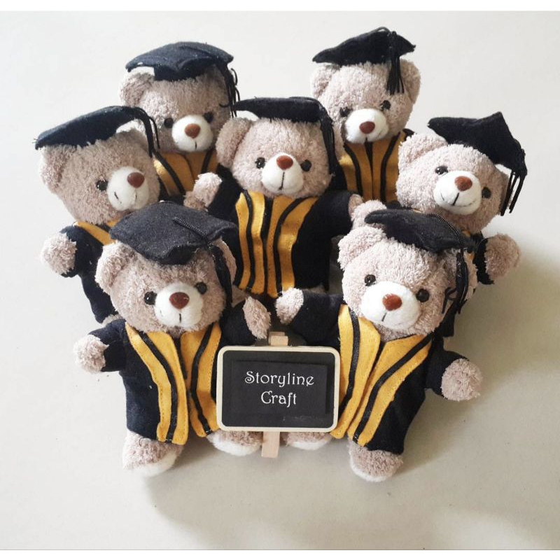 Graduation doll / Graduation Bear doll / Bouquet doll | Shopee Philippines