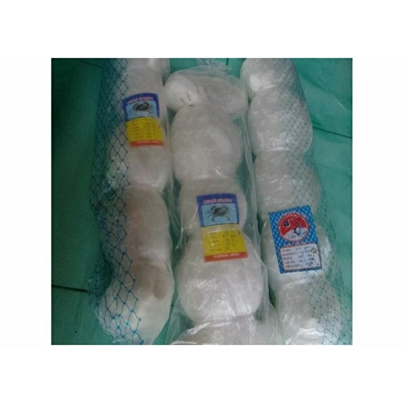 MATA FISHING NET / STRING NET 0.20 100x100 TATE / LIGHTING EYE (NO ...