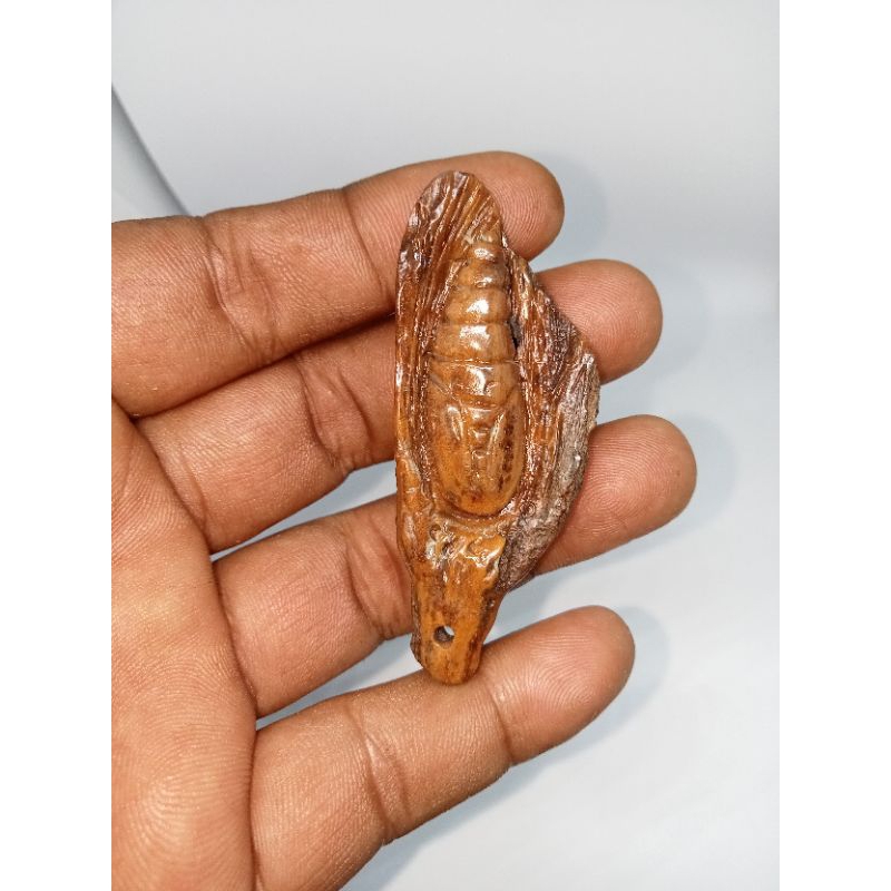 Anticipate the godong intung watt | Shopee Philippines