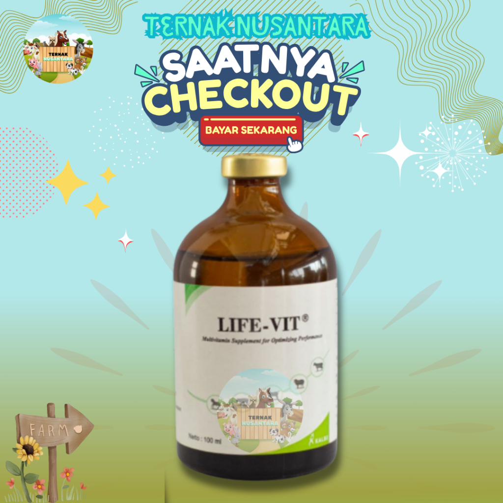 LIFE VIT 100ml Kalbe - Complete Multivitamin Contains Vitamin A, D3, B ...