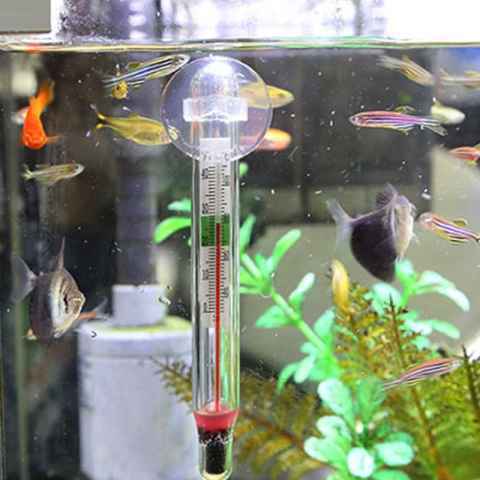 Aquarium Glass Temperature Measuring Thermometer The Most Accurate ...