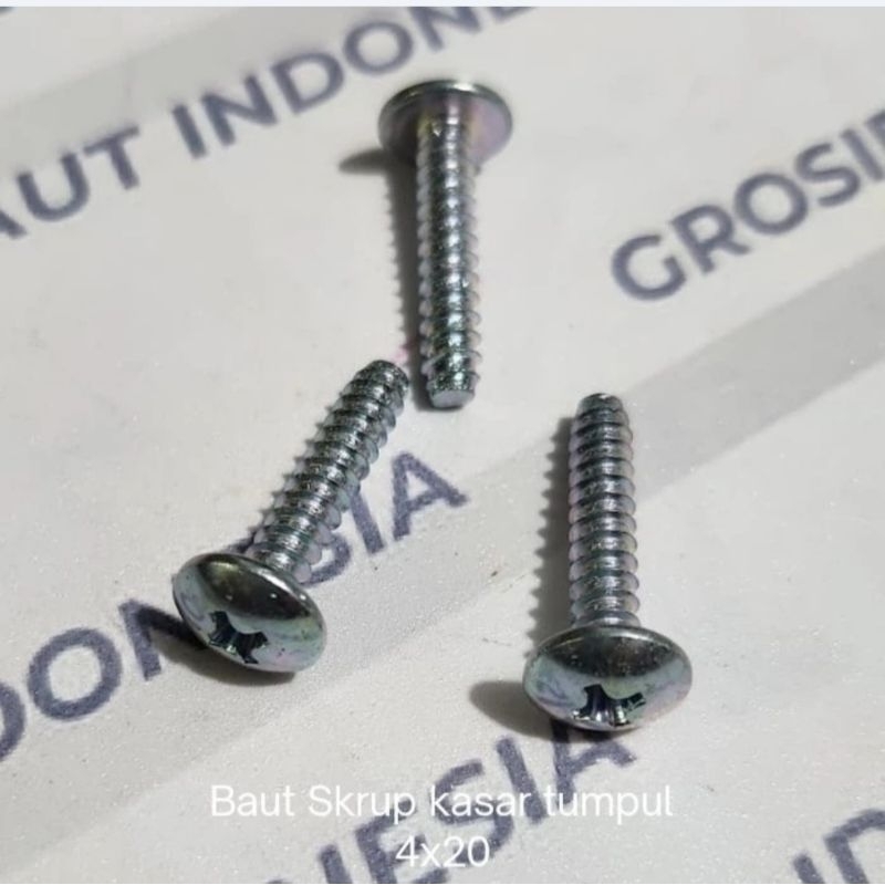 Blunt rough screw bolts 4x20 White (pack of 50pcs) | Shopee Philippines