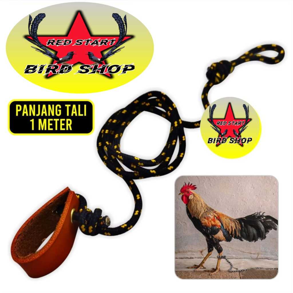 Chicken Leg Rope Full Perusik 1 Meter Long Chicken Leg Rope Fighting ...