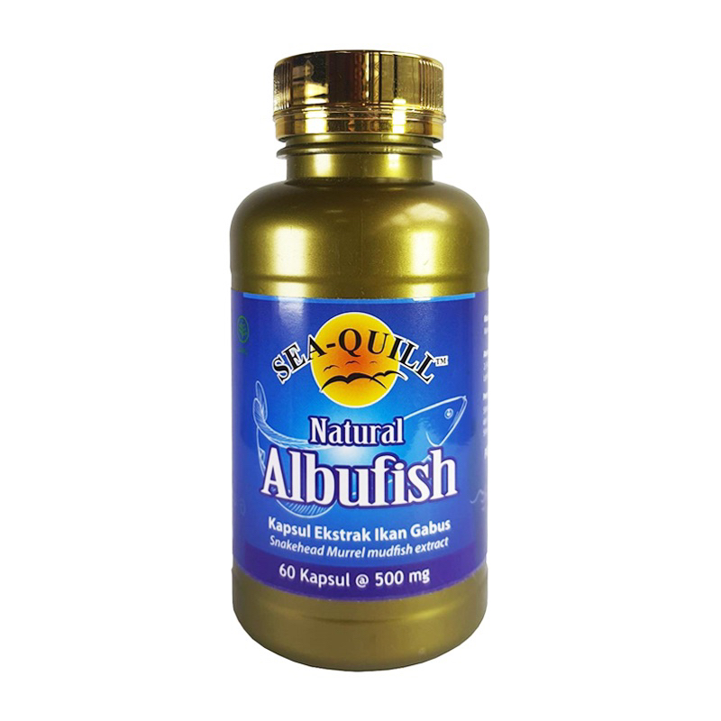 Sea QUILL NATURAL ALBUFISH/Cork Fish/Curse Fish/Wound Dryer | Shopee ...