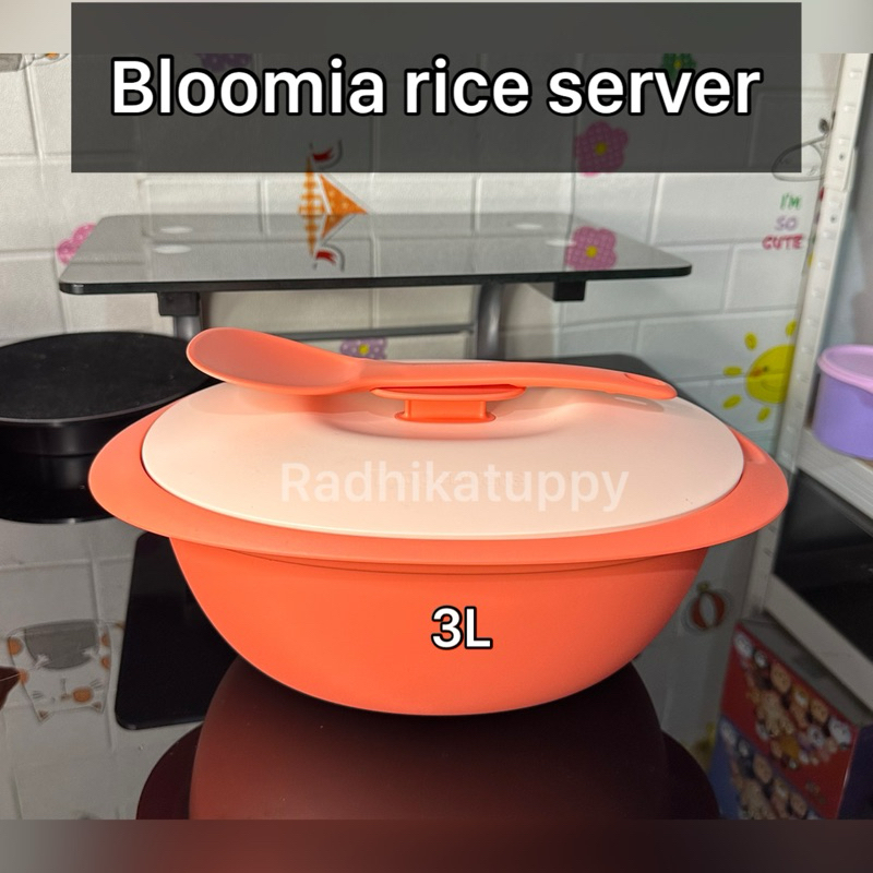 Bloomia large rice server rice basket rice bowl | Shopee Philippines